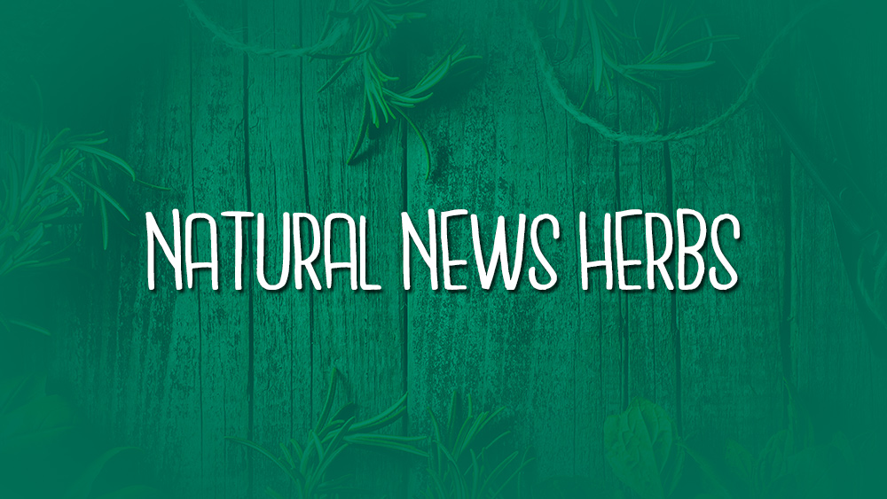 Natural News Herbs | Natural News Herbs and Information